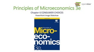 Microeconomics Chapter 6 Section 4 OpenStax PPT | PPTX