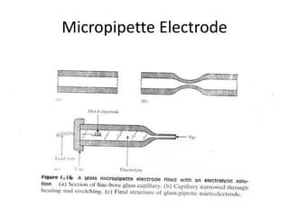 Micro elctroeds | PPTX