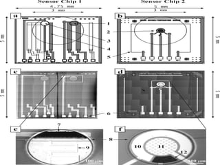 Microelectronic Capsule | PPT