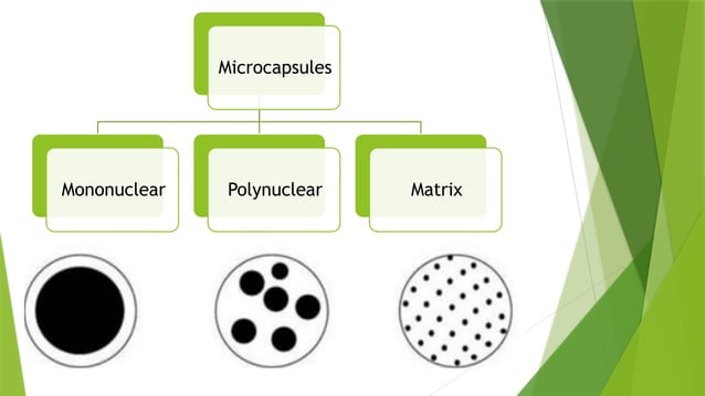 advantages disadvantages and method of Microencapsulation.pptx