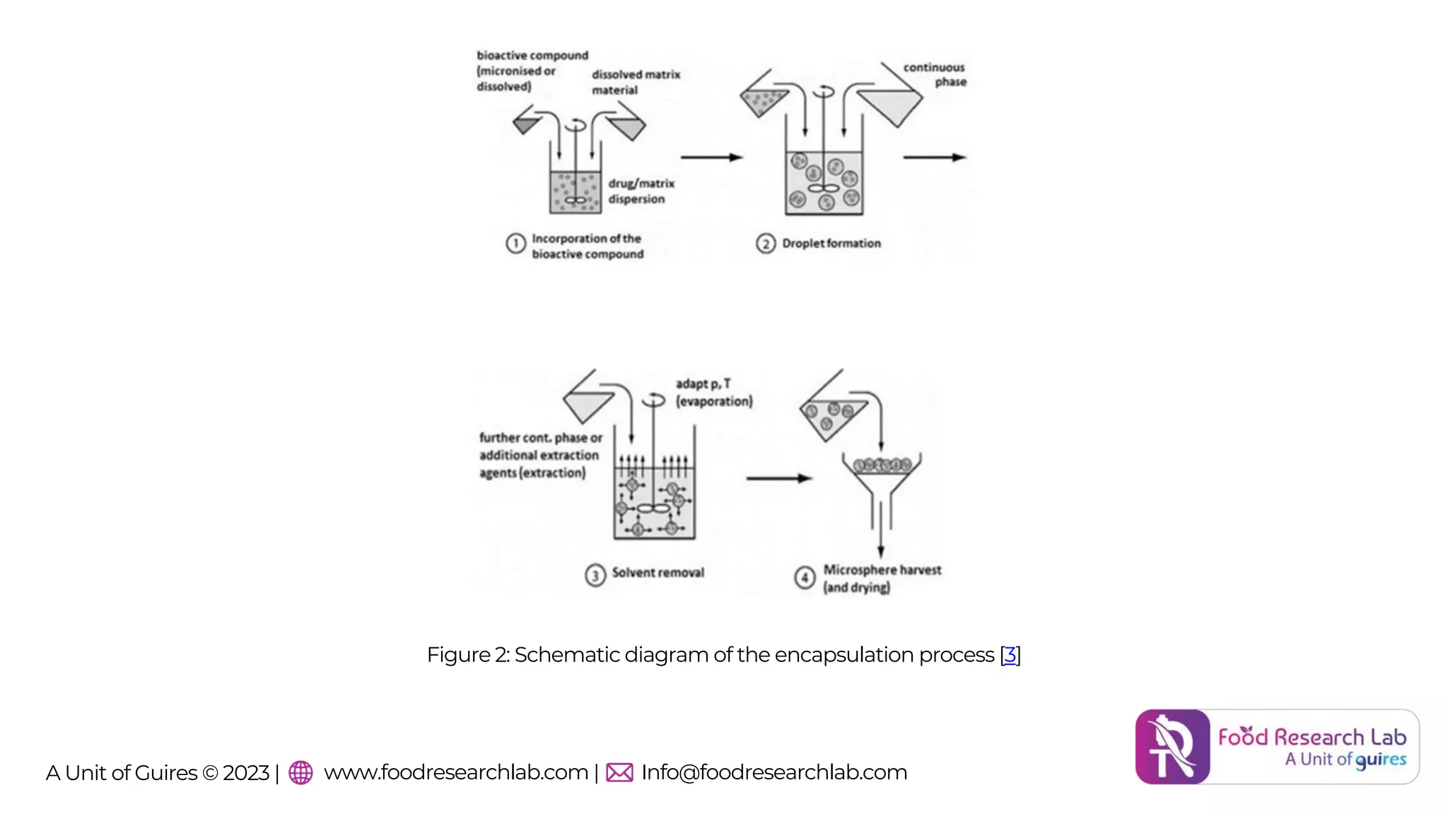 encapsulation material | PPTX