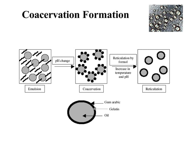 Microencapsulation | PPT