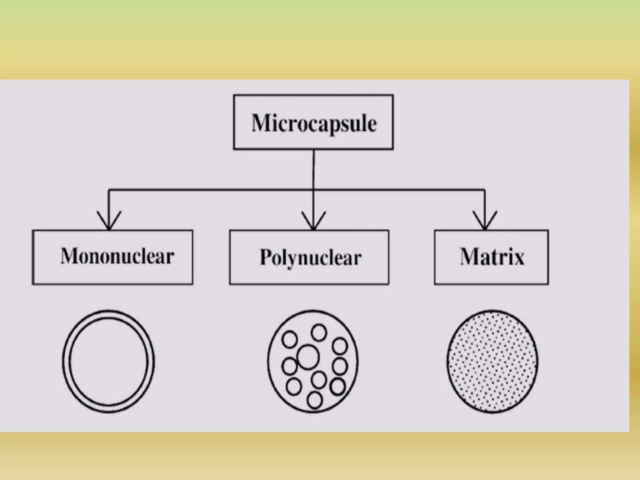 Microencapsulation | PPTX