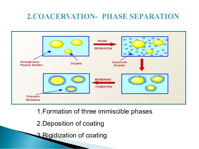 Microencapsulation ppt by Riteksha