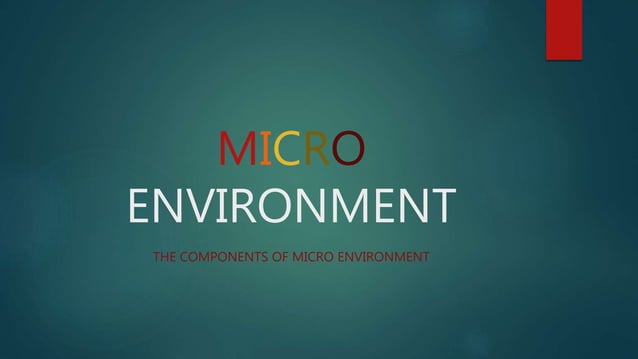 Micro environment | PPTX | Business | Business and Finance