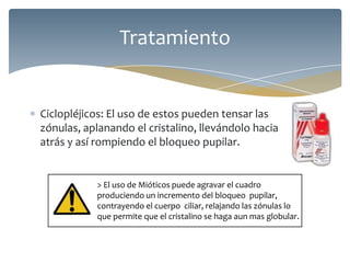 Microesferofaquia | PPTX