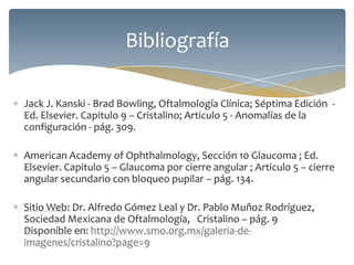 Microesferofaquia | PPTX