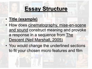 Micro essay | PPT