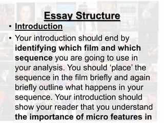 Micro essay | PPT