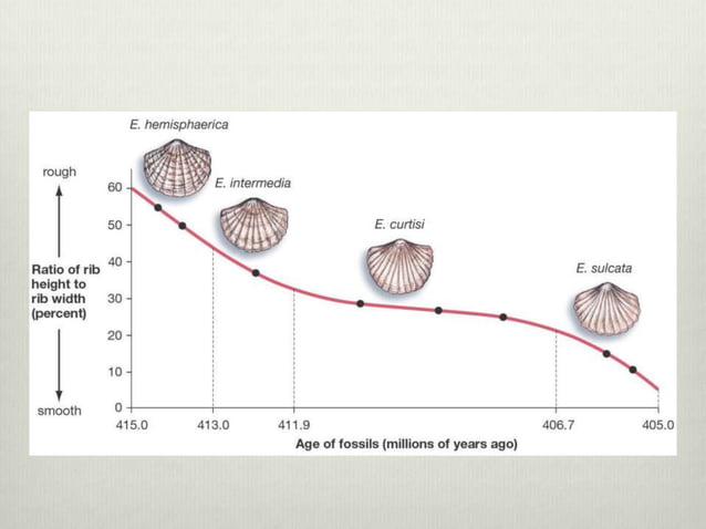 Microevolution | PPTX | Genetics | Science