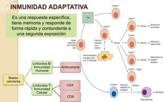 Generalidades de inmunología.pptx