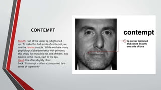 Microexpressions | PPTX