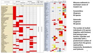 Microfauna of the Miocene Deposits in South Caspian_final versionof ...
