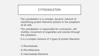 microfilaments and intermediate filaments.pptx