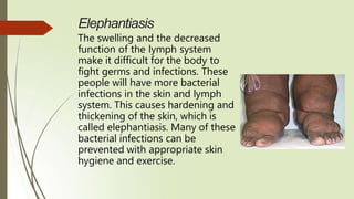 microfilariae-170105004034.pptx microrganism | PPTX | Infectious ...