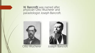 Microfilariae (Wuchereria Bancrofti) | PPTX