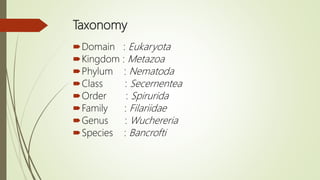 Microfilariae (Wuchereria Bancrofti) | PPTX