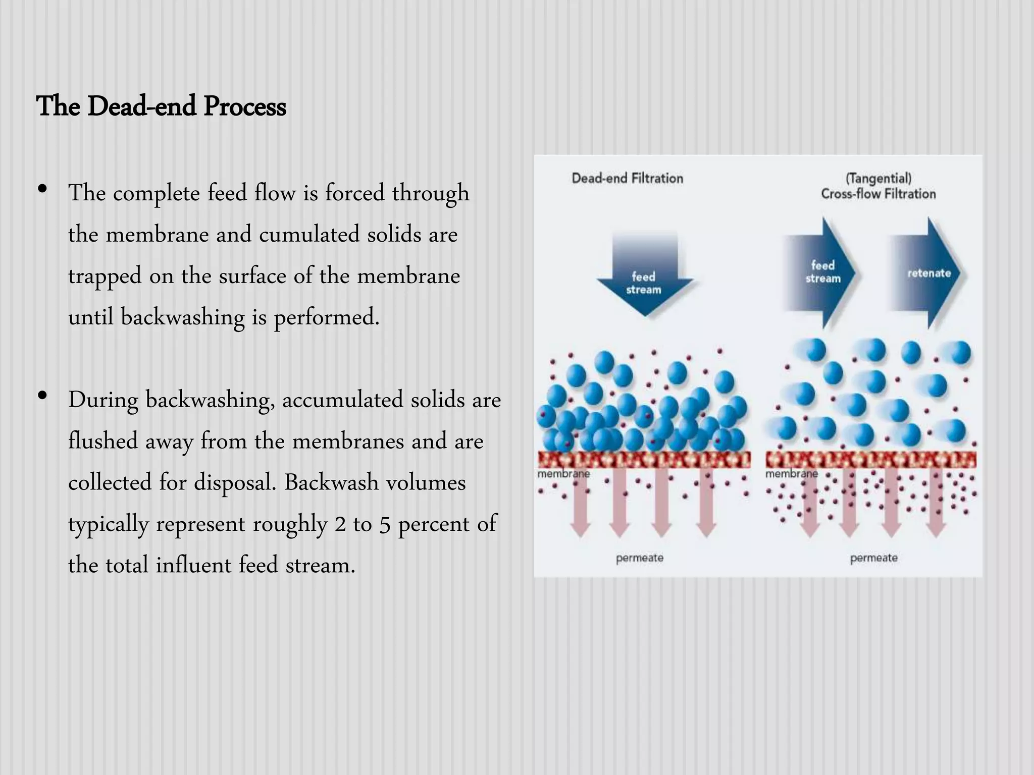 Microfiltration | PPTX