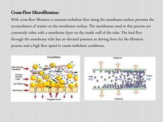 Microfiltration | PPTX