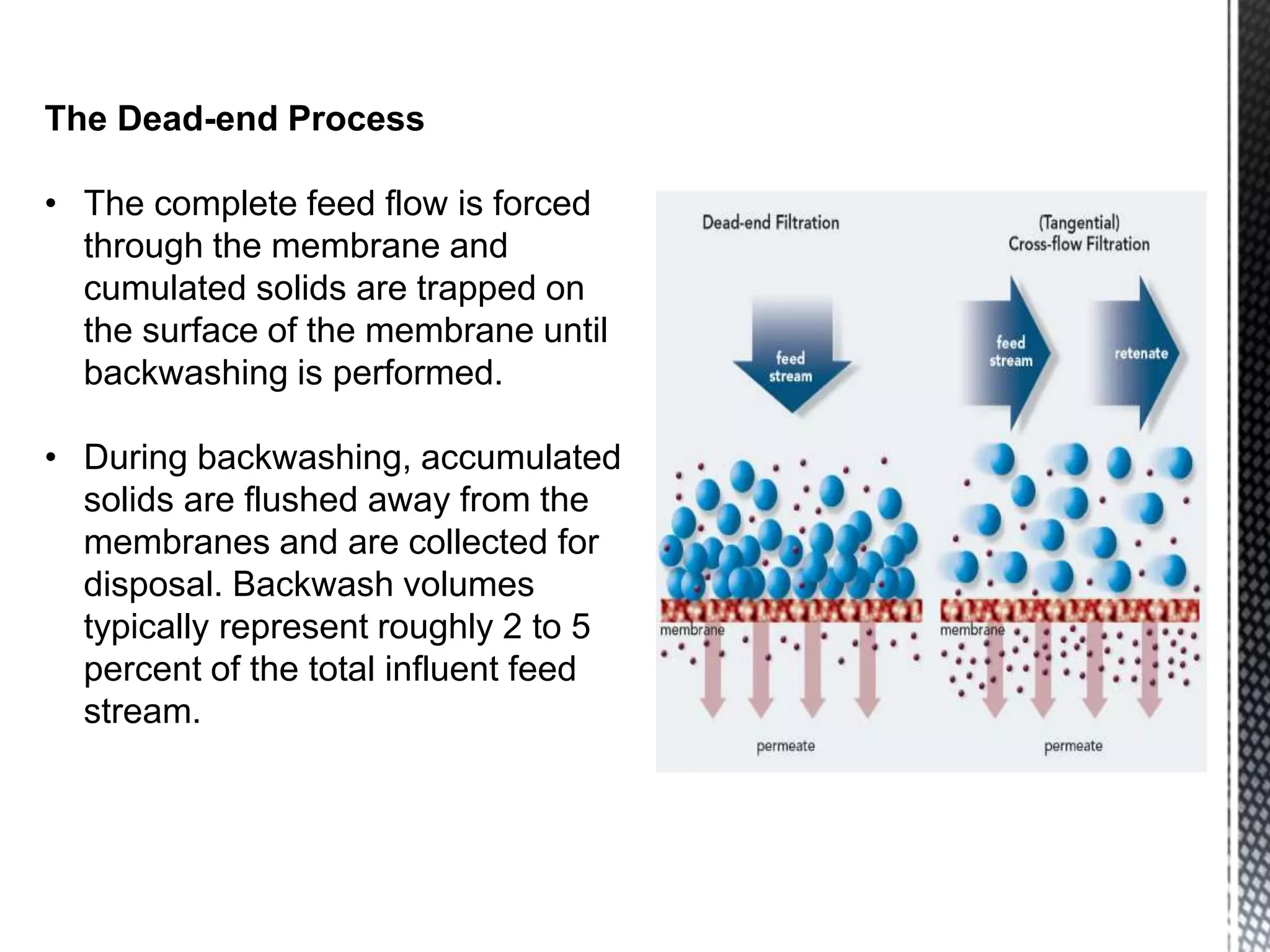 Microfiltration | PPTX