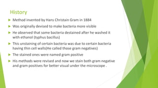 Difference between Gram Positive and Gram Negative Bacteria | PPTX ...