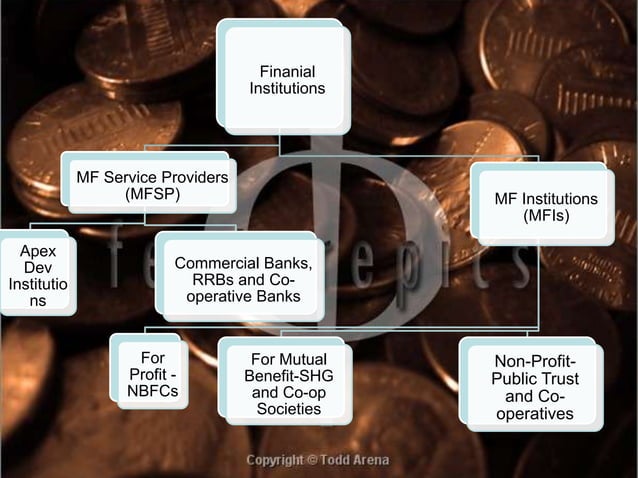 Microfinance-B.V.Raghunandan | PPT