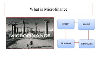 Microfinance | PPT