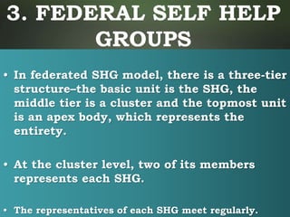 Microfinance demo, microfinance features, microfinance modules | PPSX