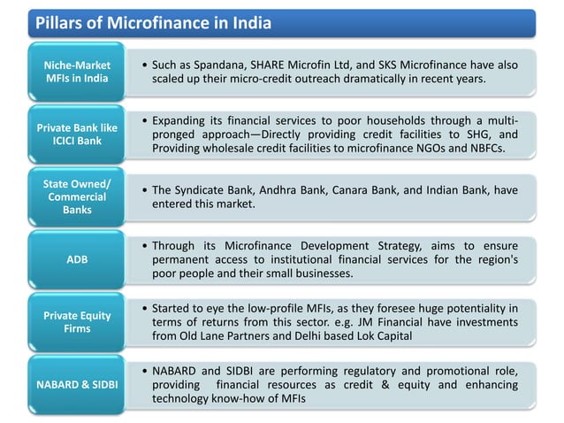Microfinance An Introduction | PDF