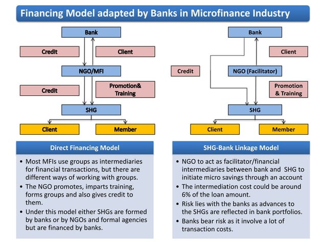 Microfinance An Introduction | PDF