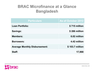 Microfinance Presentation for Board Final 2012 | PPTX