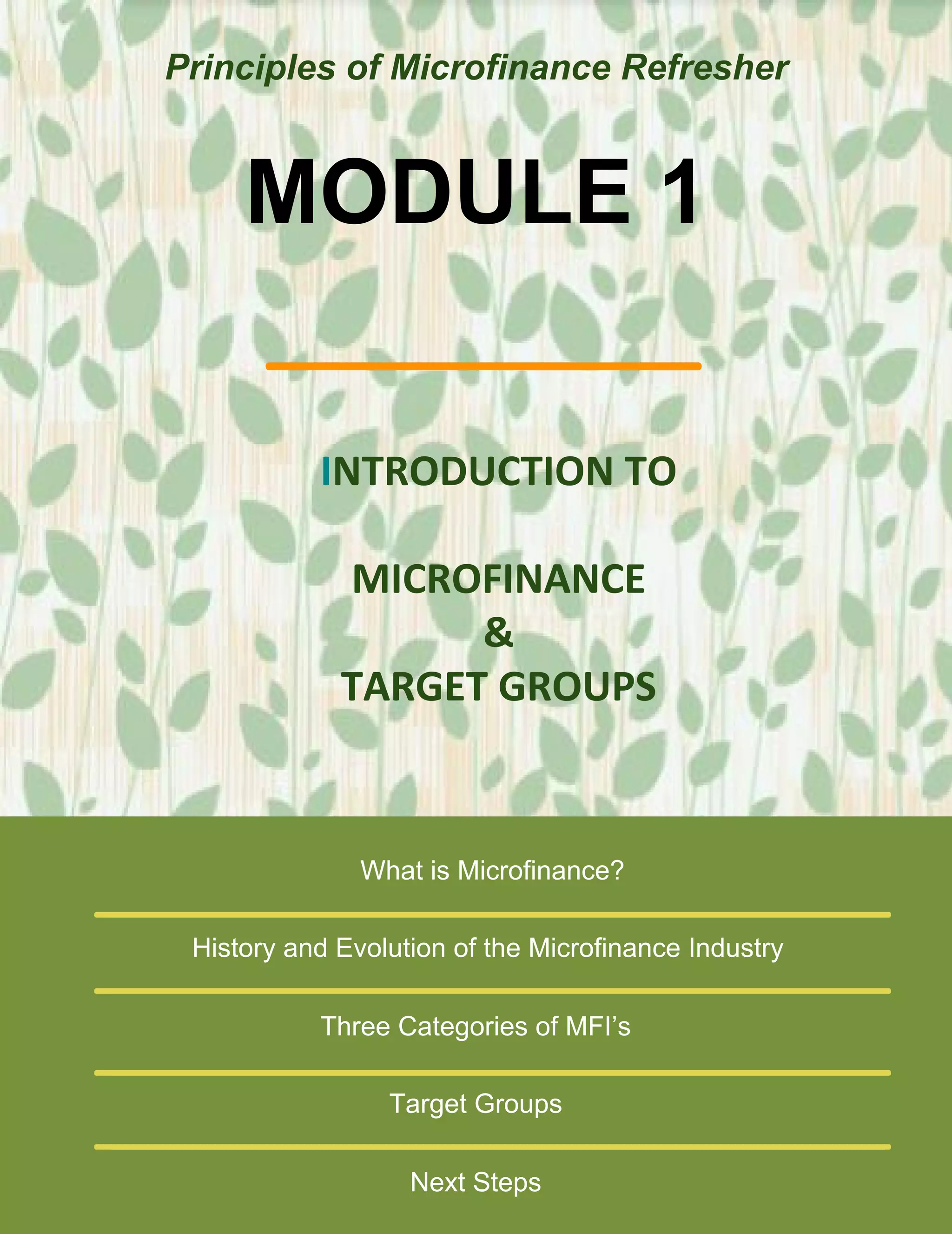 SMDP Microfinance Refresher MODULE 1 | PDF