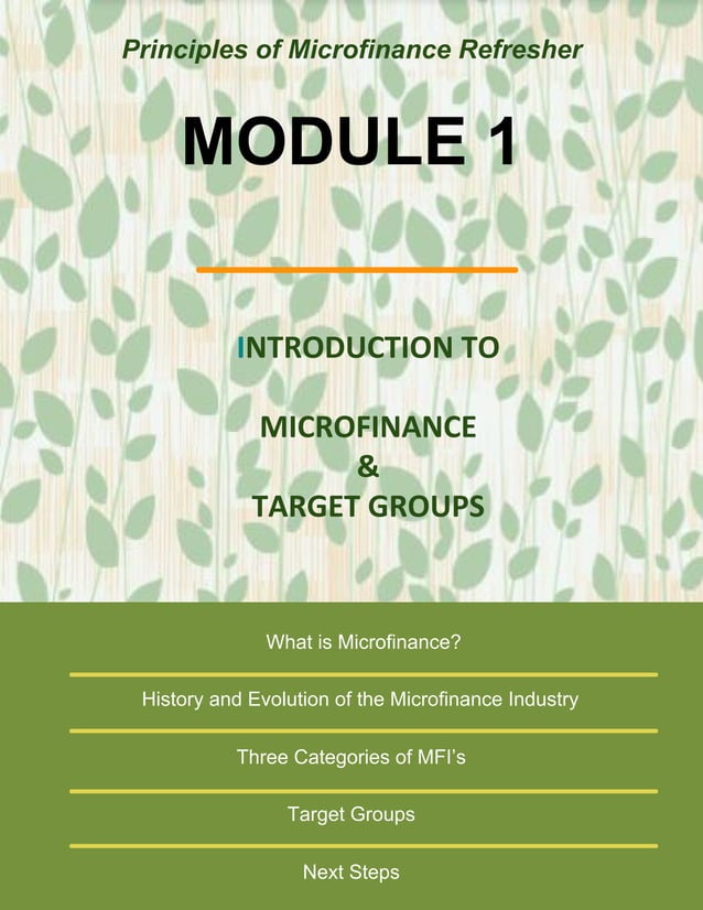 SMDP Microfinance Refresher MODULE 1 | PDF