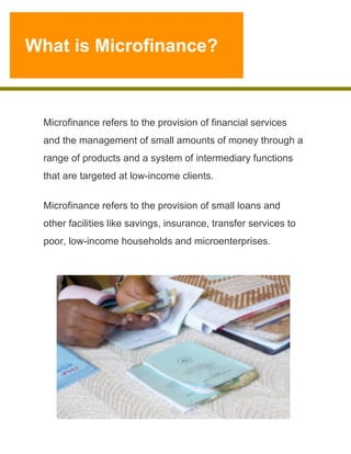 SMDP Microfinance Refresher MODULE 1 | PDF