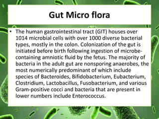 Micro flora | PPTX