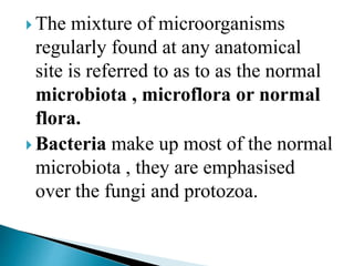 MICROFLORA.pptx