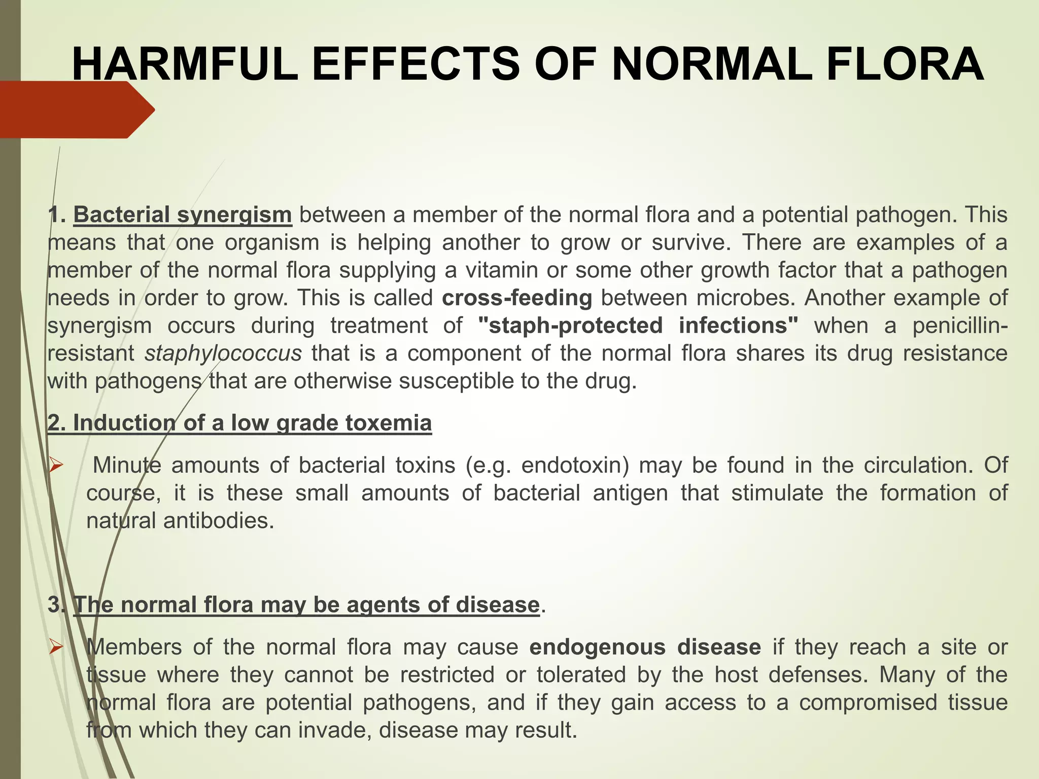 Microflora upto respiratory tract.pptx
