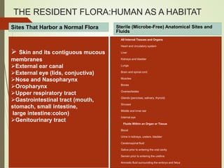 Microflora upto respiratory tract.pptx
