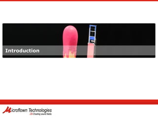 Microflown - a new category of sensors | PPT | Business and Finance