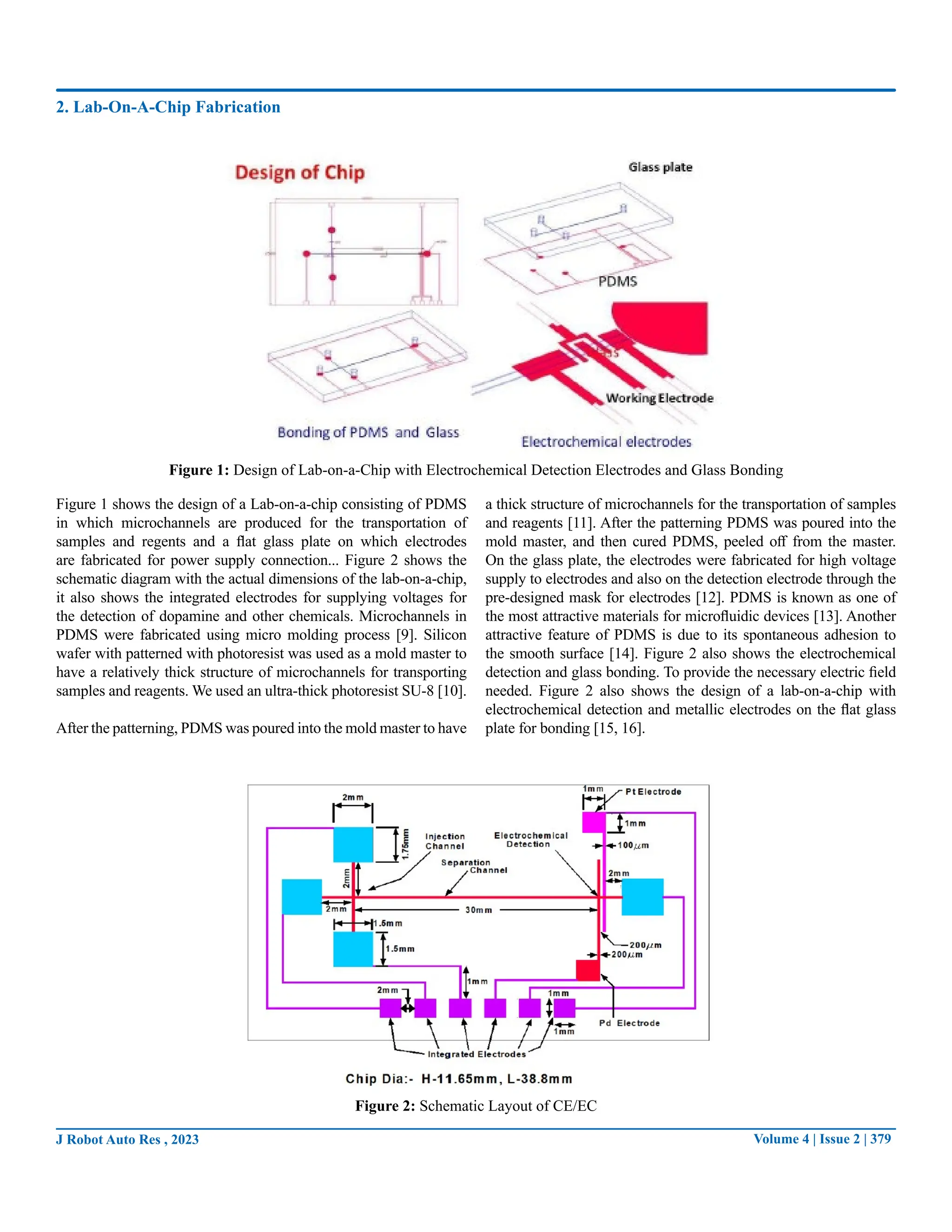 Microfluidic Nanoparticle-Based Lab-on-a-Chip Devices for Selective ...