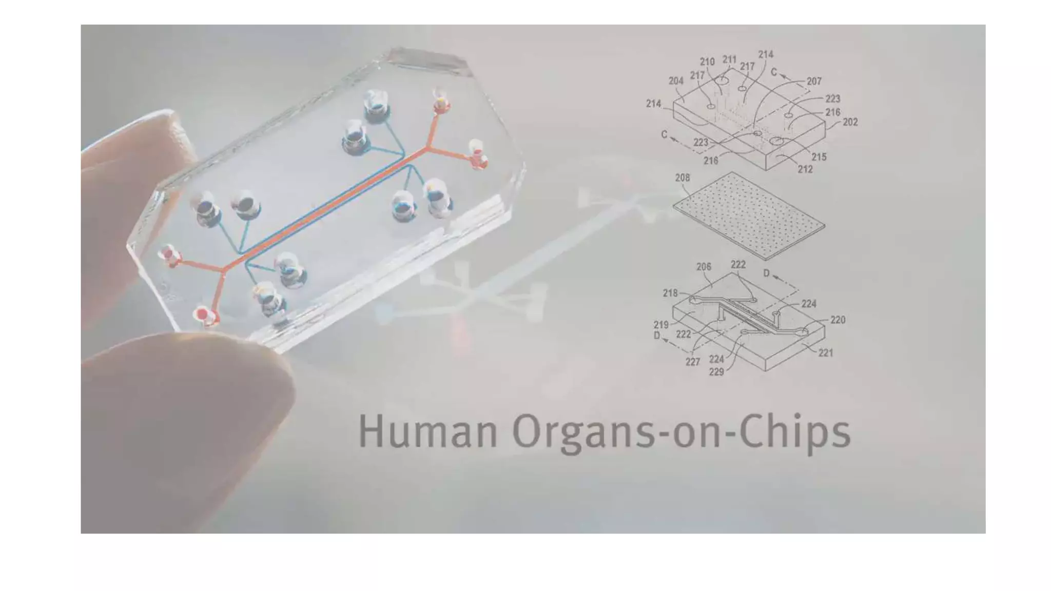 Microfluidics and organ on-a-chip | PPTX