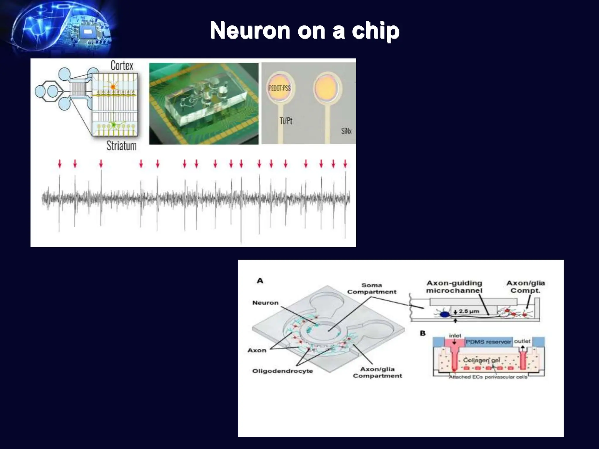 Microfluidics ppt.pptx