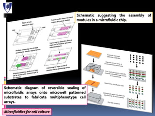 Microfluidics Presentation | PDF