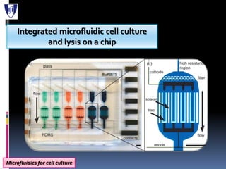 Microfluidics Presentation | PDF