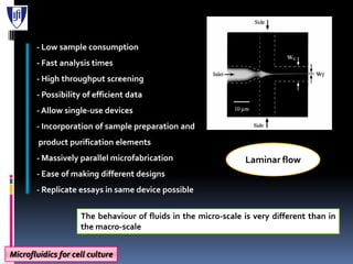 Microfluidics Presentation | PDF