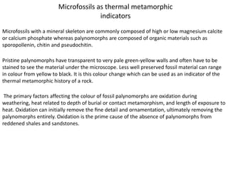 Microfosil thermally and their character.pdf