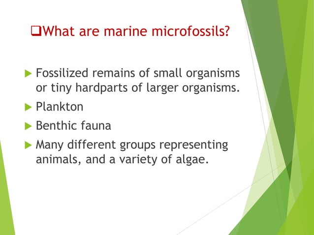 Microfossil importance in temparature 13 | PPT