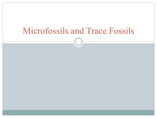 Difference of micro fossils and trace fossil | PPT