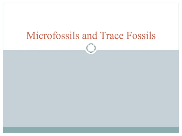 Difference of micro fossils and trace fossil | PPT
