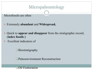 Difference of micro fossils and trace fossil | PPT